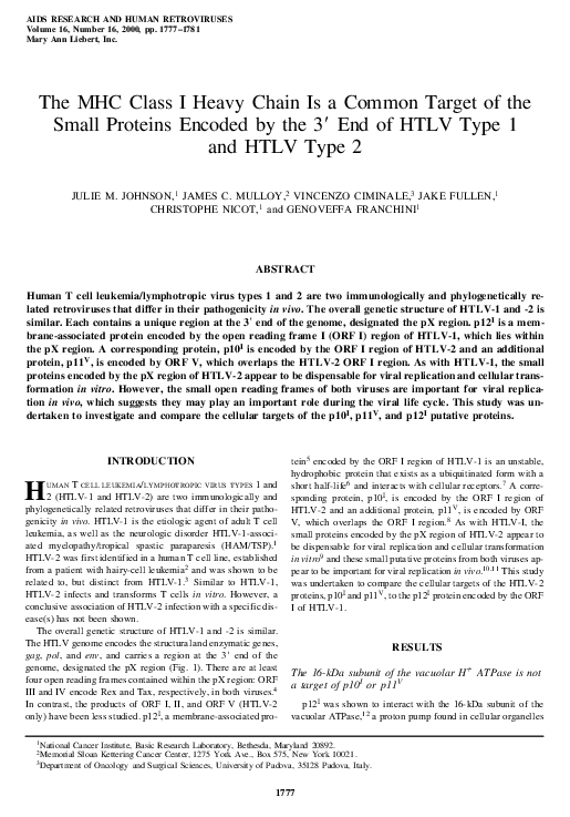 (PDF) The MHC Class I Heavy Chain Is a Common Target of the Small ...