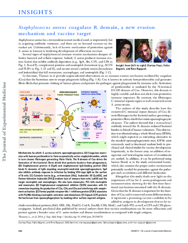 (PDF) Staphylococcus aureus coagulase R domain, a new evasion mechanism ...
