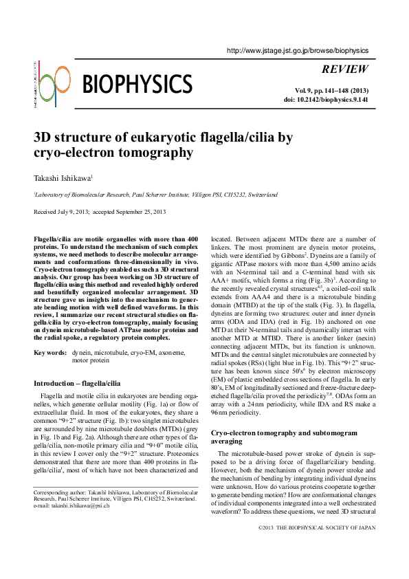 (PDF) 3D structure of eukaryotic flagella/cilia by cryo-electron tomography
