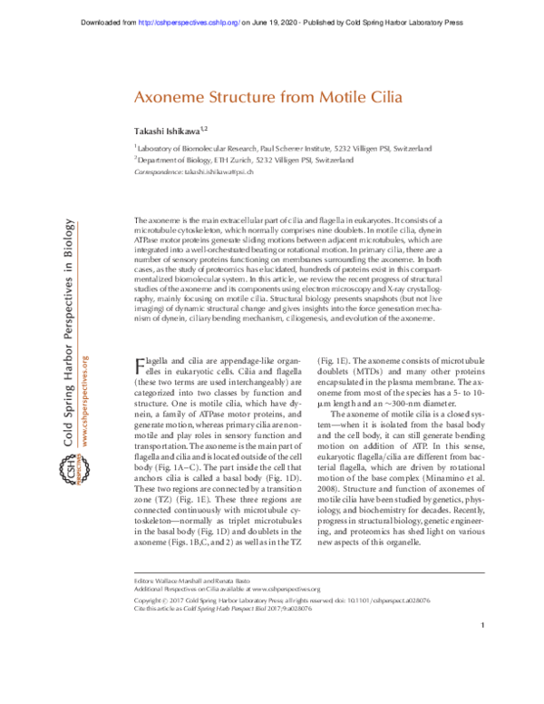 (PDF) Axoneme Structure from Motile Cilia | Takashi Ishikawa - Academia.edu