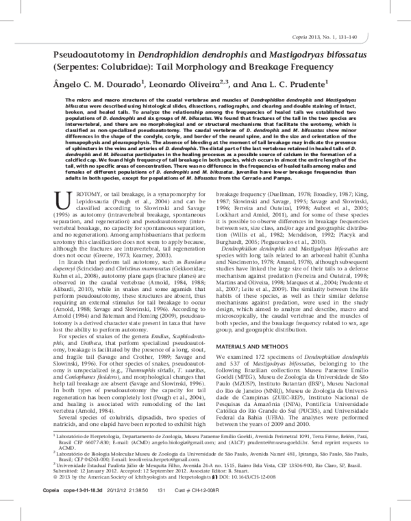 (PDF) Pseudoautotomy in Dendrophidion dendrophis and Mastigodryas ...