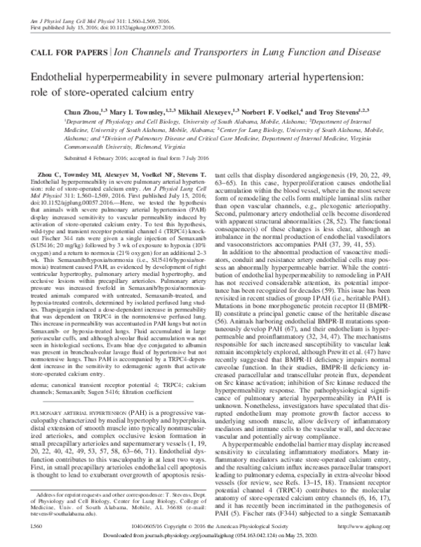 (PDF) Endothelial hyperpermeability in severe pulmonary arterial ...