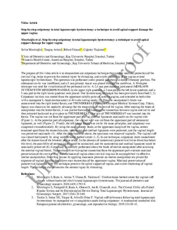 (PDF) Step-by-step colpotomy in total laparoscopic hysterectomy: a ...