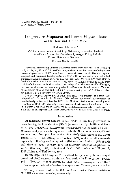 (PDF) Temperature adaptation and brown adipose tissue in hairless and ...