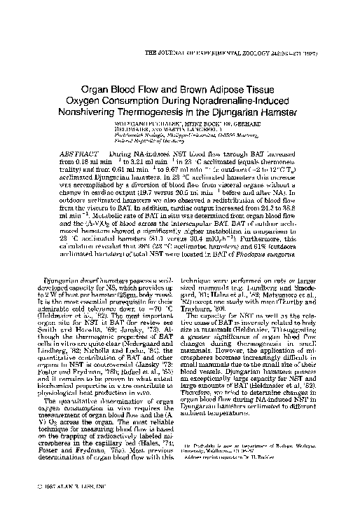 (PDF) Organ blood flow and brown adipose tissue oxygen consumption ...