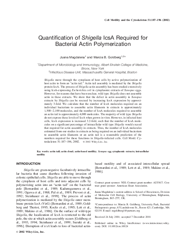 (PDF) Quantification of Shigella IcsA required for bacterial actin ...