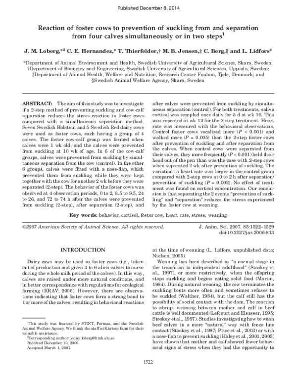 (PDF) Reaction of foster cows to prevention of suckling from and ...