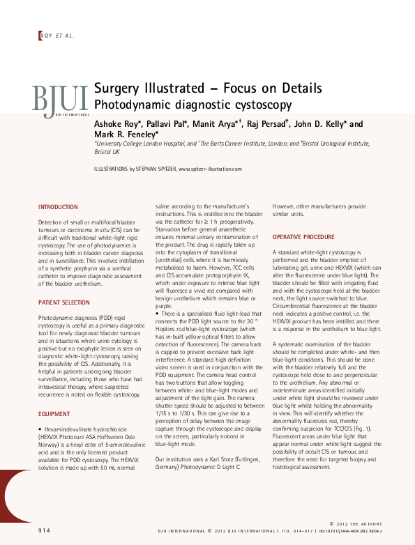 (PDF) Photodynamic diagnostic cystoscopy
