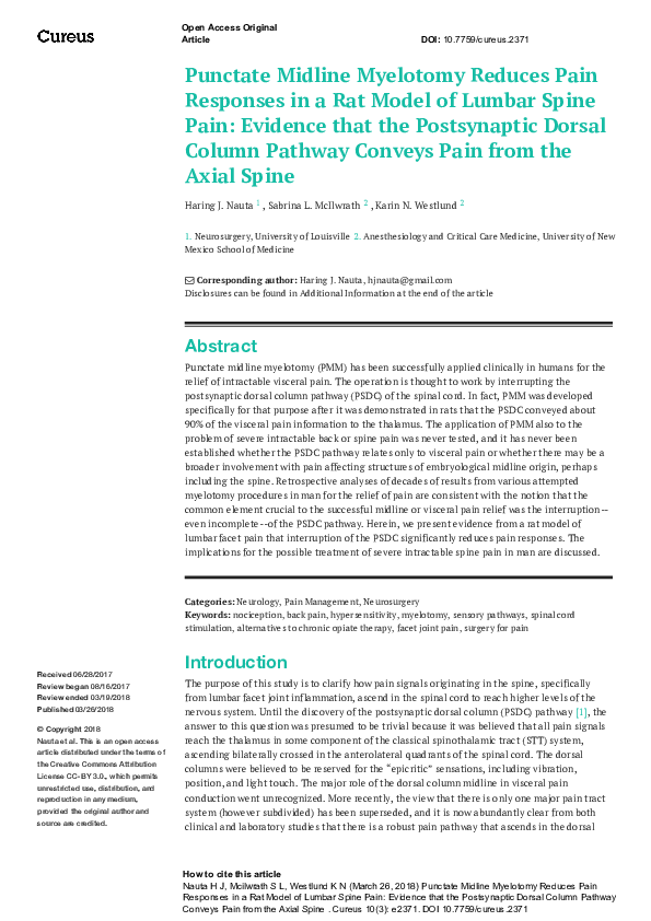 (PDF) Punctate Midline Myelotomy Reduces Pain Responses in a Rat Model ...