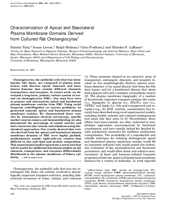 (PDF) Characterization of Apical and Basolateral Plasma Membrane ...