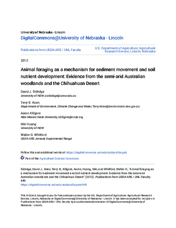 (PDF) Animal foraging as a mechanism for sediment movement and soil ...