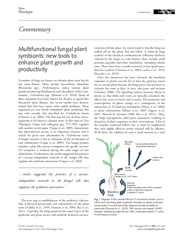 (PDF) Multifunctional fungal plant symbionts: new tools to enhance ...