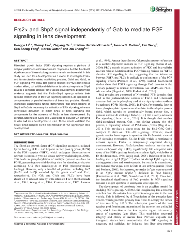 (PDF) Frs2 and Shp2 signal independently of Gab to mediate FGF ...