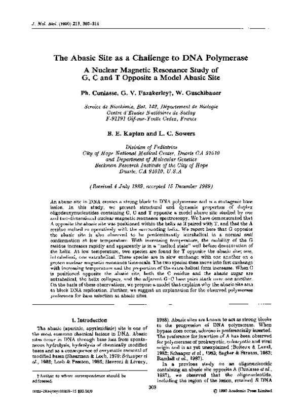 (PDF) The abasic site as a challenge to DNA polymerase