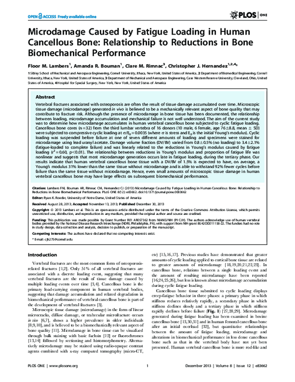 (PDF) Microdamage Caused by Fatigue Loading in Human Cancellous Bone ...