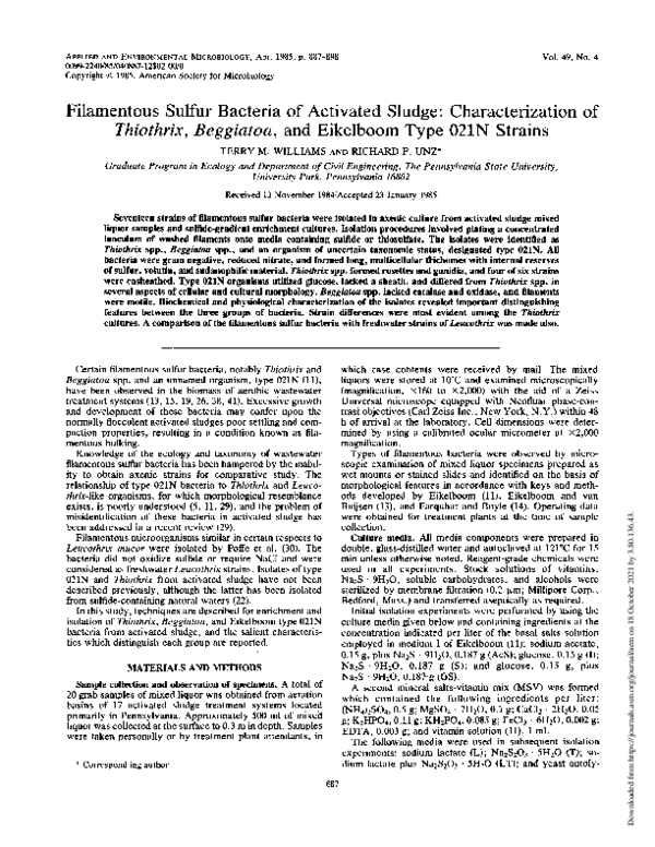 (PDF) Filamentous sulfur bacteria of activated sludge: characterization ...