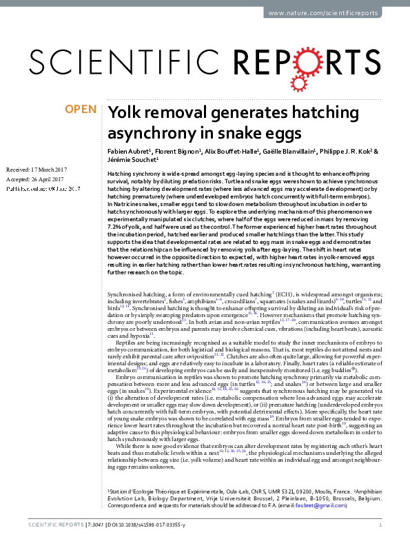 (PDF) Yolk removal generates hatching asynchrony in snake eggs