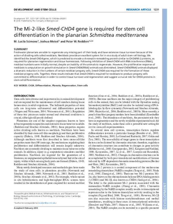 (PDF) The Mi-2-like Smed-CHD4 gene is required for stem cell ...