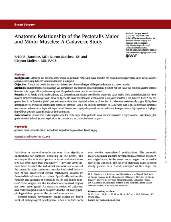 (PDF) Anatomic Relationship of the Pectoralis Major and Minor Muscles ...