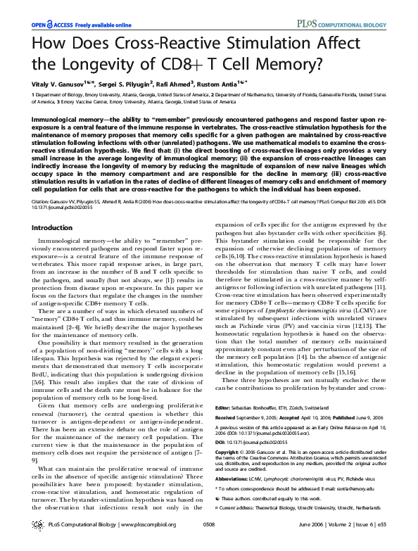 (PDF) How Does Cross-Reactive Stimulation Affect the Longevity of CD8 ...