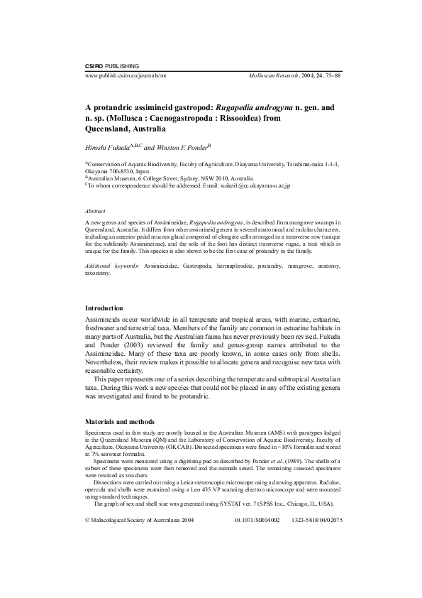 (PDF) A protandric assimineid gastropod: Rugapedia androgyna n. gen ...