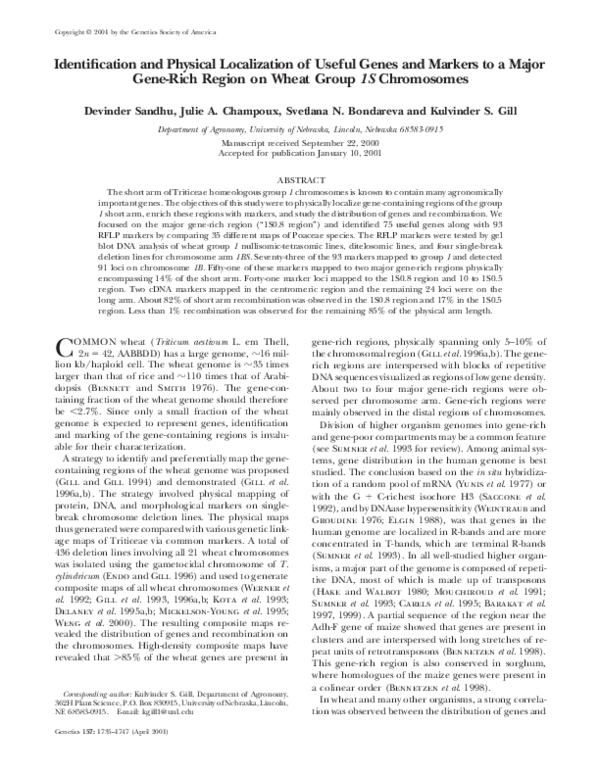 (PDF) Identification and physical localization of useful genes and ...