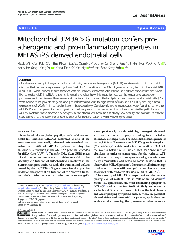 (PDF) Mitochondrial 3243A > G mutation confers pro-atherogenic and pro ...