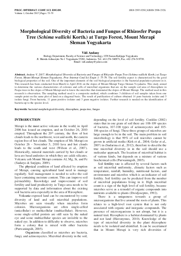(PDF) Morphological Diversity of Bacteria and Fungus of Rhizosfer Puspa ...