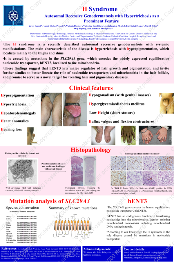 (PDF) H syndrome –autosomal recessive genodermatosis with hypertichosis ...