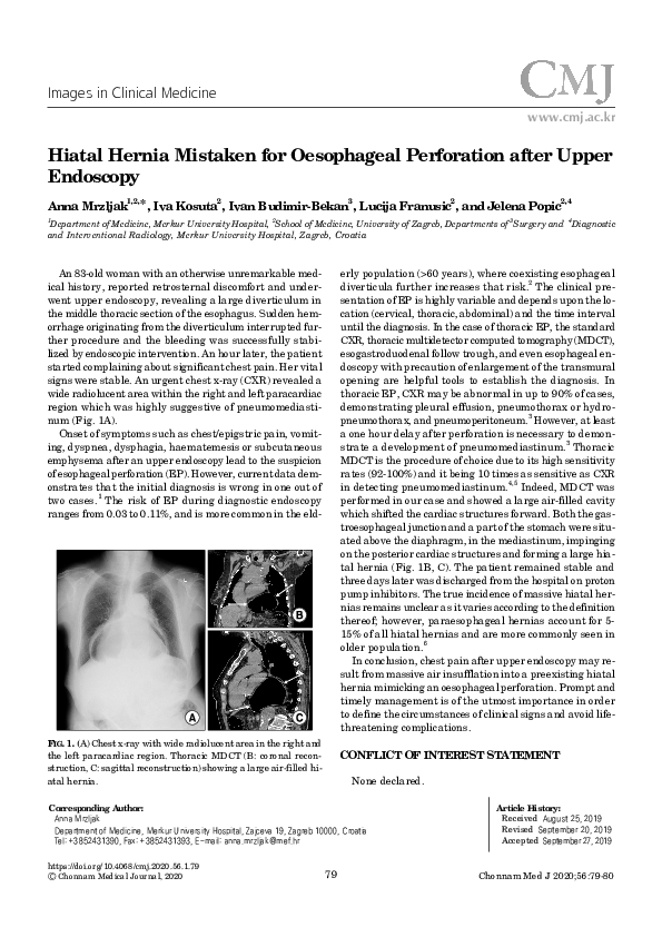 (PDF) Hiatal Hernia Mistaken for Oesophageal Perforation after Upper ...