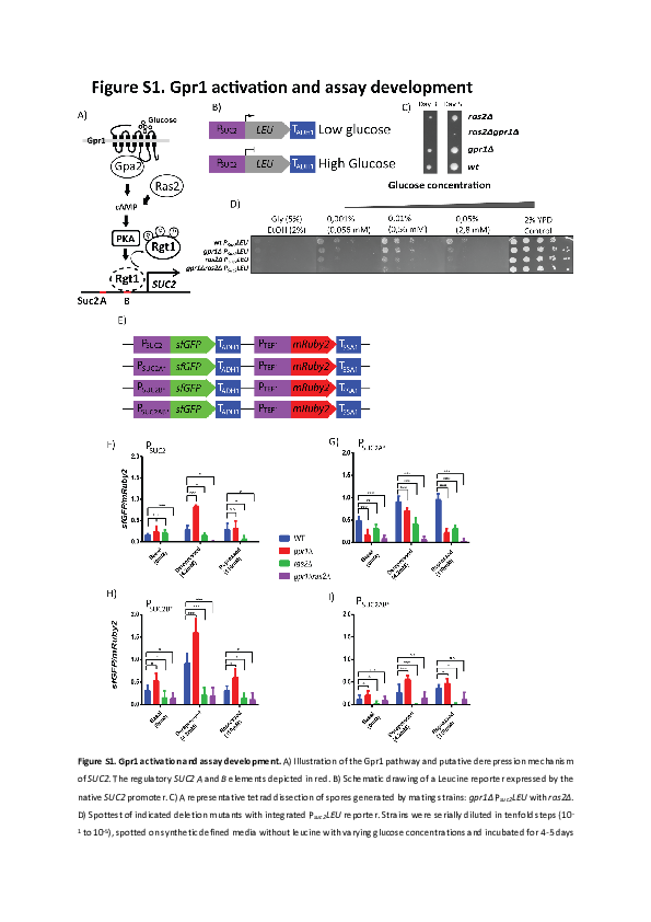 (PDF) Large Scale Synthetic Site Saturation GPCR Libraries Reveal Novel ...