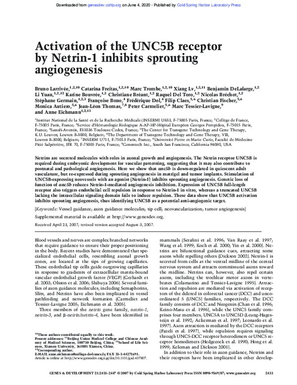 (PDF) Activation of the UNC5B receptor by Netrin-1 inhibits sprouting ...