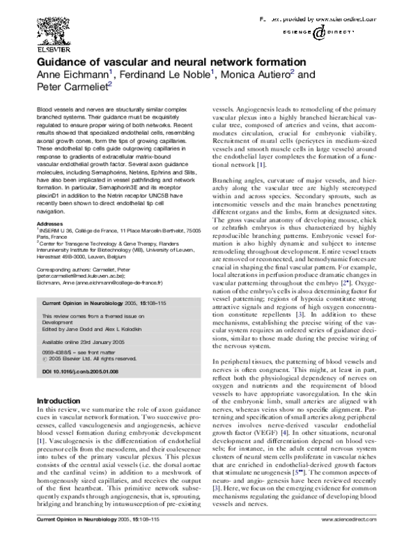 (PDF) Guidance of vascular and neural network formation
