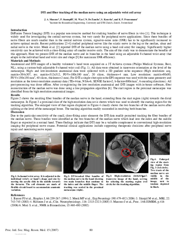 (PDF) DTI and fiber tracking of the median nerve using an adjustable ...