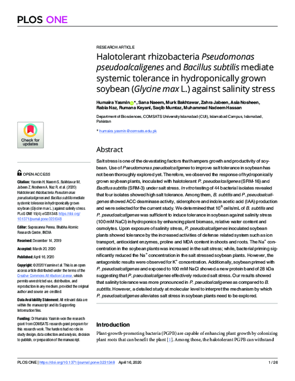 Halotolerant rhizobacteria Pseudomonas pseudoalcaligenes and Bacillus ...