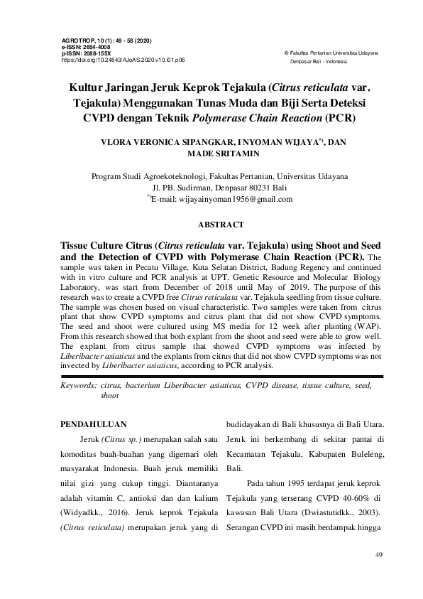 (PDF) Kultur Jaringan Jeruk Keprok Tejakula (Citrus reticulata var ...