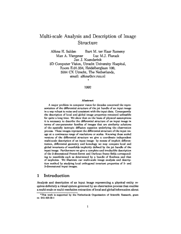 (PDF) Multi-scale analysis and description of image structure