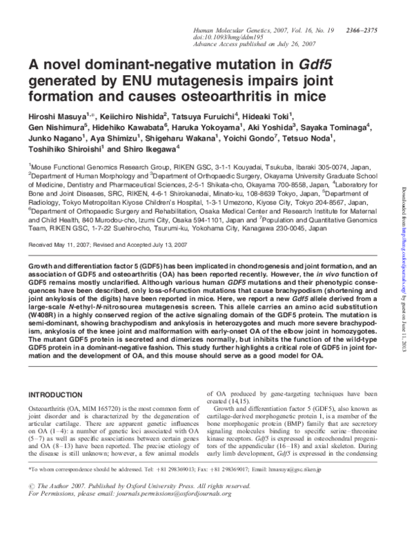 (PDF) A novel dominant-negative mutation in Gdf5 generated by ENU mutagenesis impairs joint ...