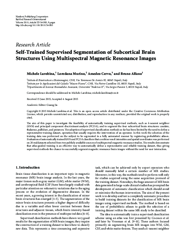 (PDF) Self-Trained Supervised Segmentation of Subcortical Brain Structures Using Multispectral ...