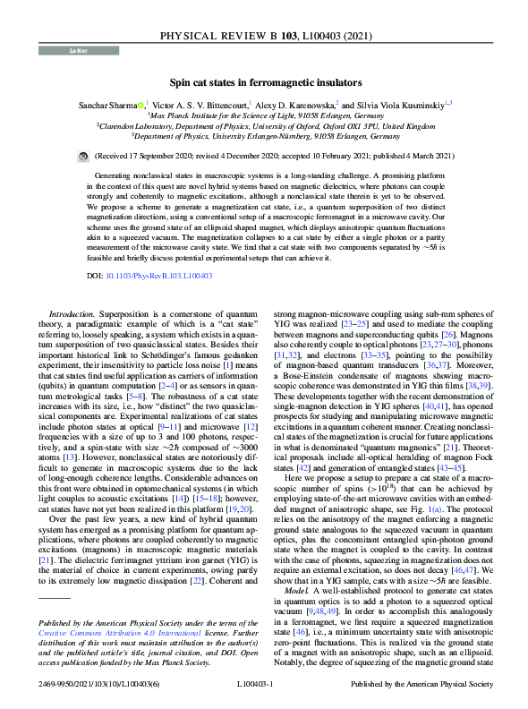 (PDF) Spin cat states in ferromagnetic insulators