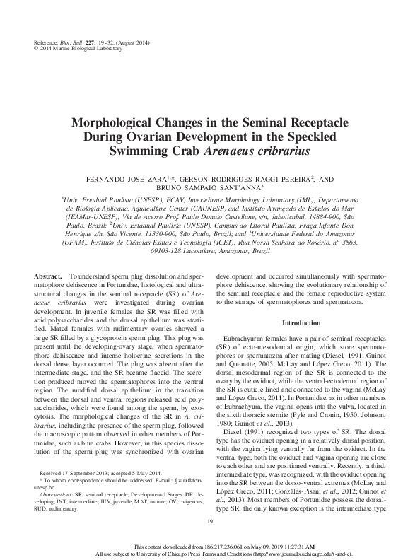 (PDF) Morphological changes in the seminal receptacle during ovarian ...