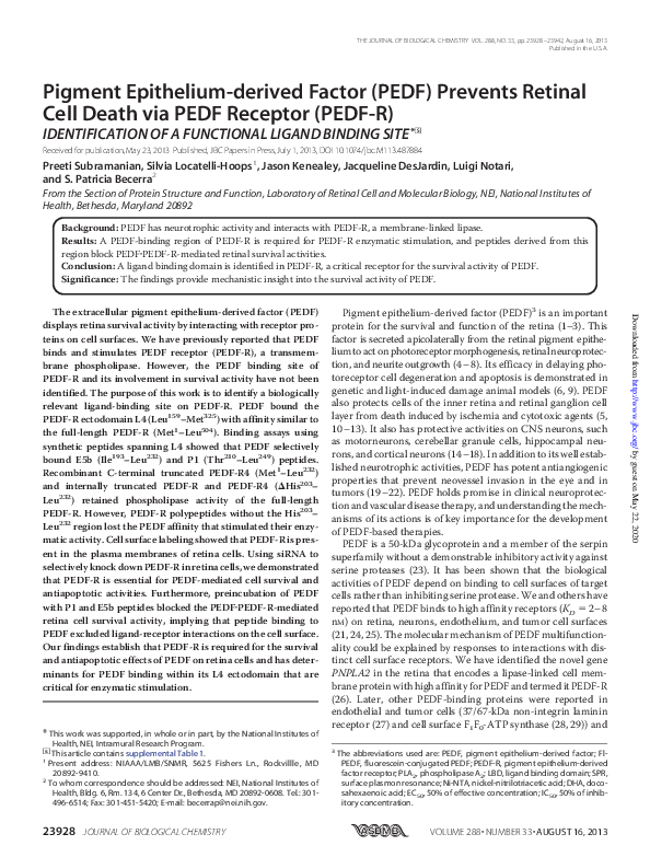 (PDF) Pigment Epithelium-derived Factor (PEDF) Prevents Retinal Cell ...