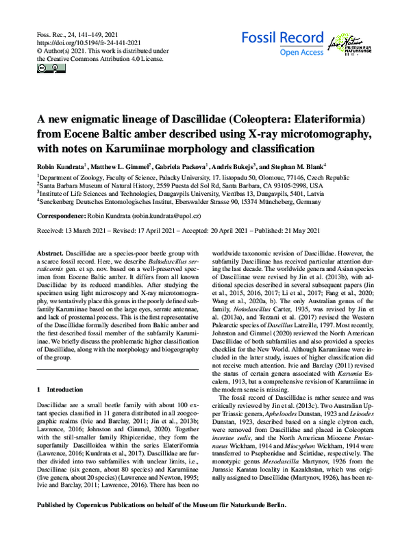 (PDF) A new enigmatic lineage of Dascillidae (Coleoptera: Elateriformia ...