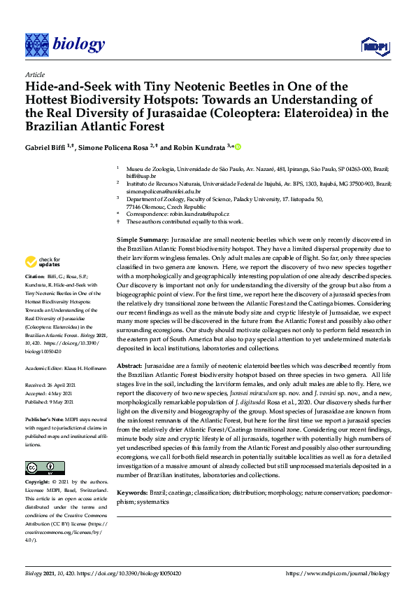 (PDF) Hide-and-Seek with Tiny Neotenic Beetles in One of the Hottest ...