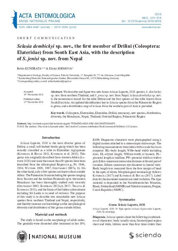 (PDF) Selasia dembickyi sp. nov., the first member of Drilini ...