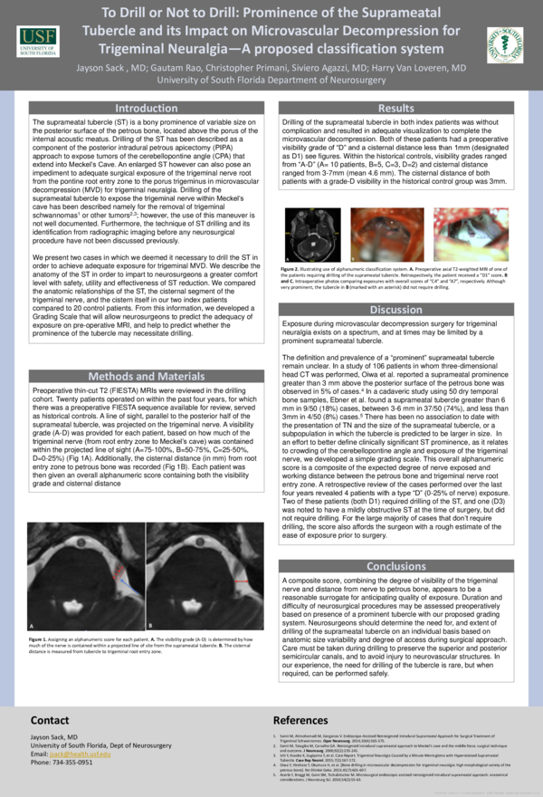 (PDF) To Drill or Not to Drill: Prominence of the Suprameatal Tubercle ...