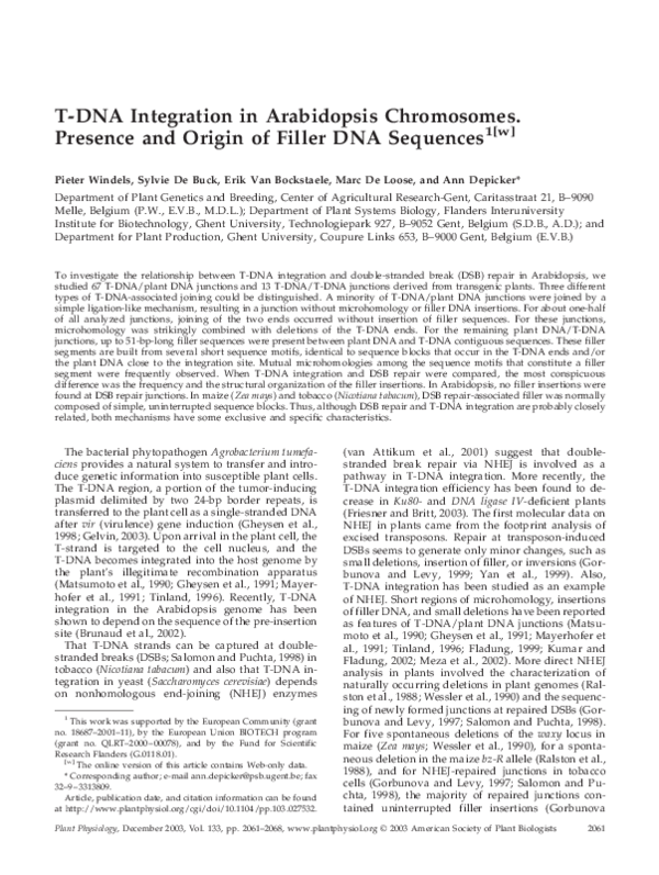 (PDF) T-DNA Integration in Arabidopsis Chromosomes. Presence and Origin ...