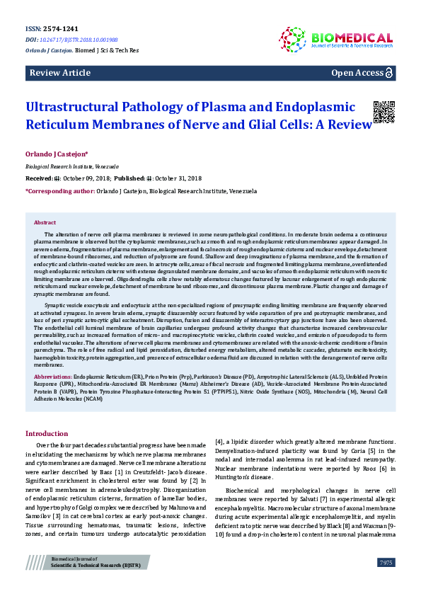 (PDF) Ultrastructural Pathology of Plasma and Endoplasmic Reticulum ...