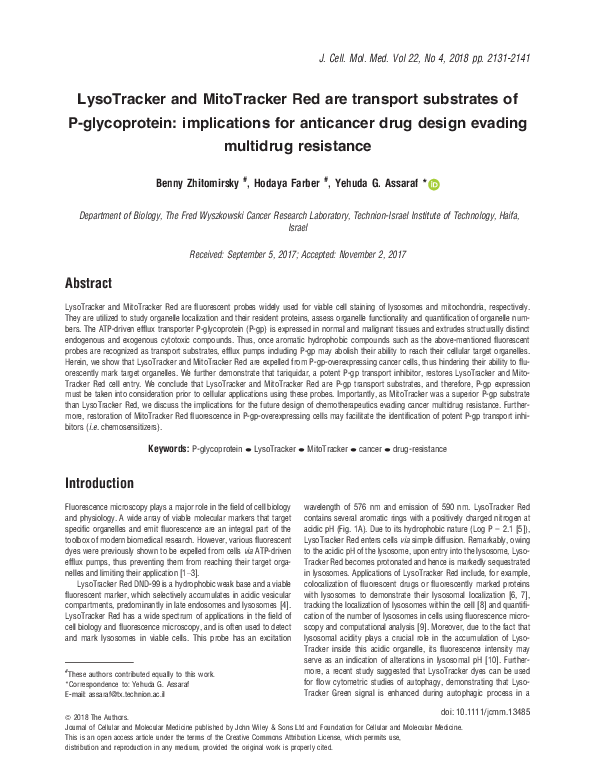 (PDF) LysoTracker and MitoTracker Red are transport substrates of P ...