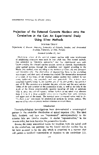 (PDF) Projection of the external cuneate nucleus onto the cerebellum in ...